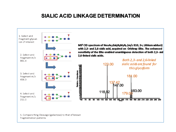 Sialic Acids Linkage Determination