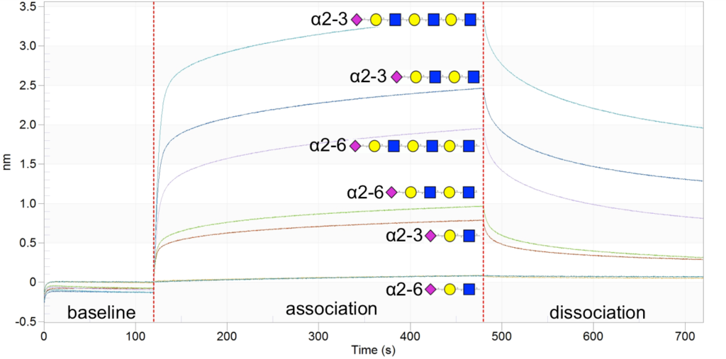BioLayer Interferometry (BLI)